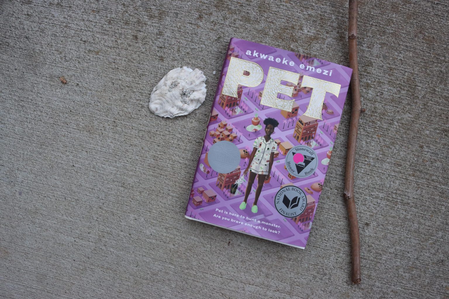 Pet by Akwaeke Emezi – Curtis McHale
