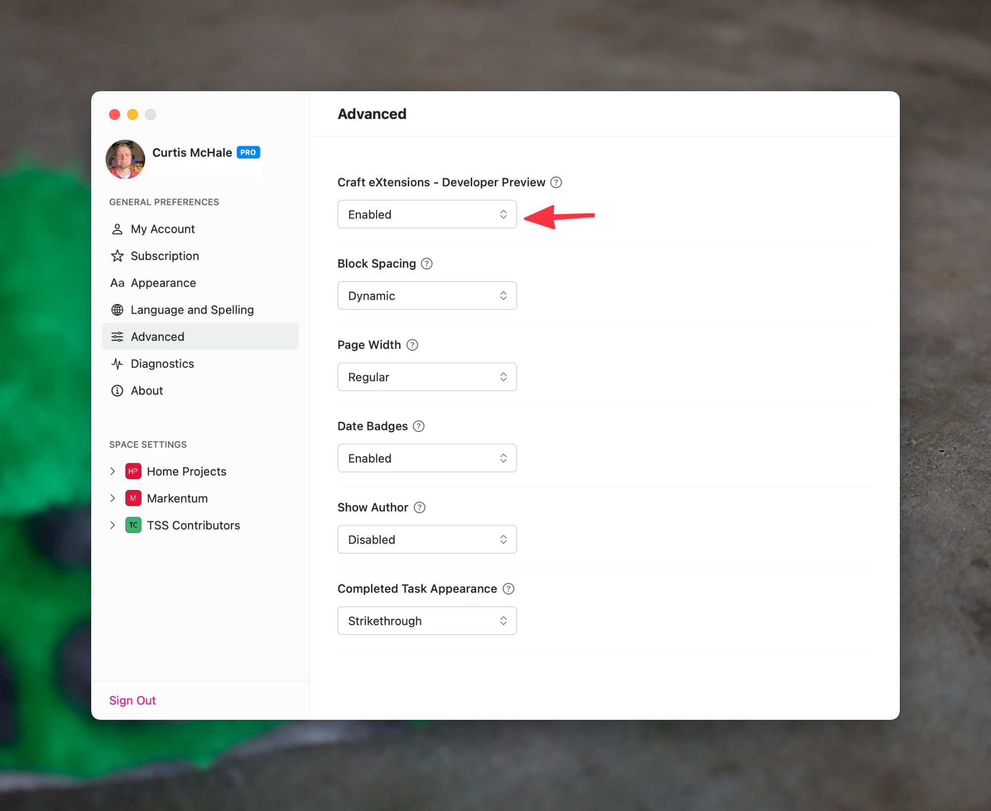 The Future of Craft – Curtis McHale